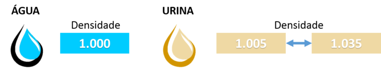 Significância da densidade da urina — ANDREIA TORRES