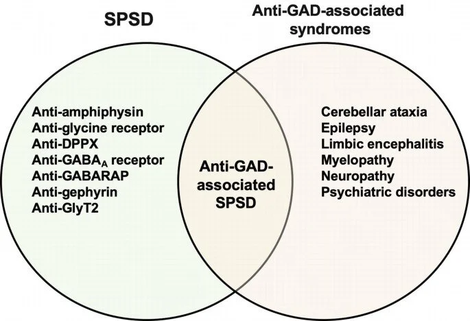 Anticorpo anti-descarboxilase do ácido glutâmico (Anti-GAD) — ANDREIA ...