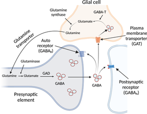 O Papel do GABA na Saúde Mental: O Impacto da Microbiota Intestinal e a ...