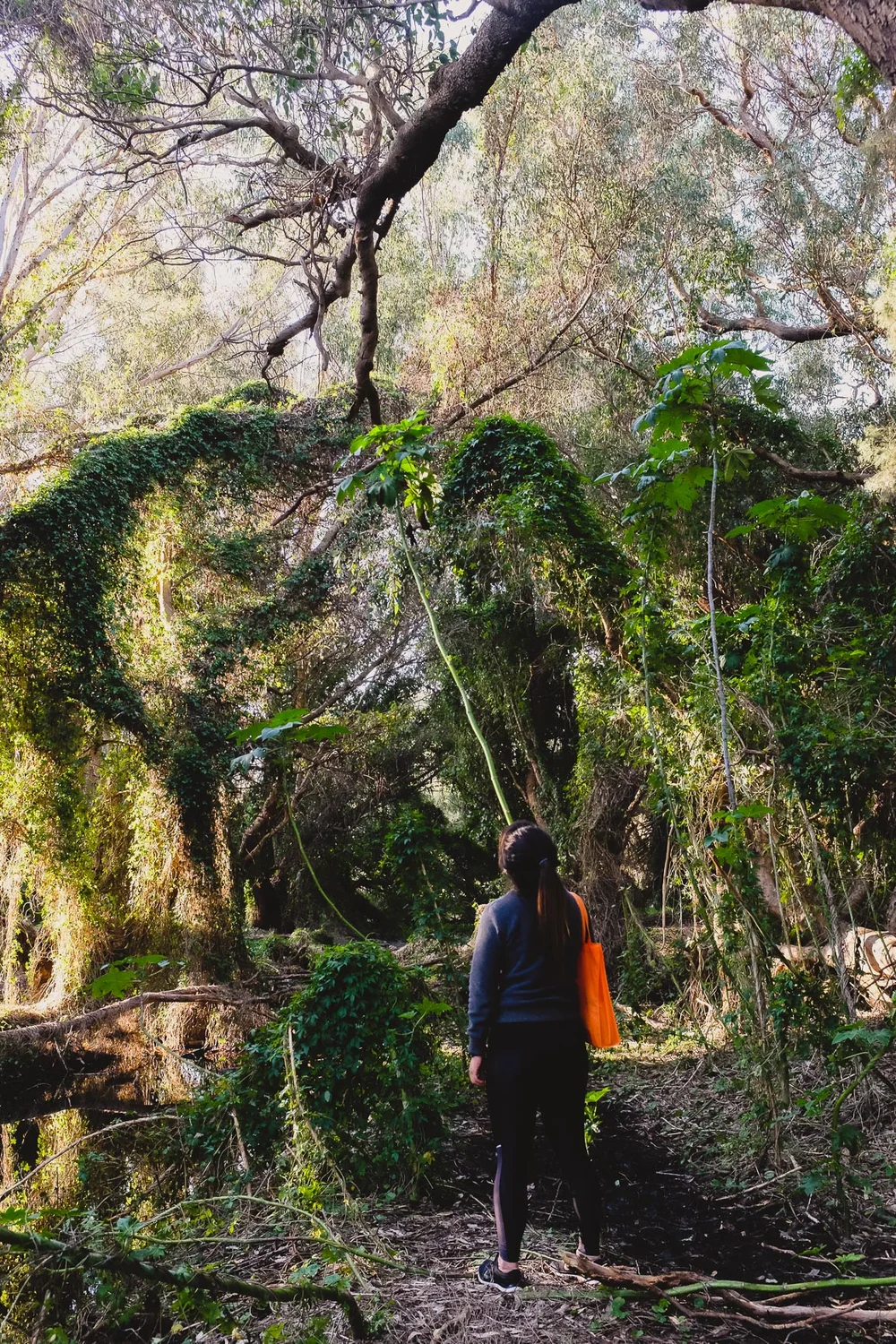 Perth's Secret Garden - Careniup Wetlands — hello