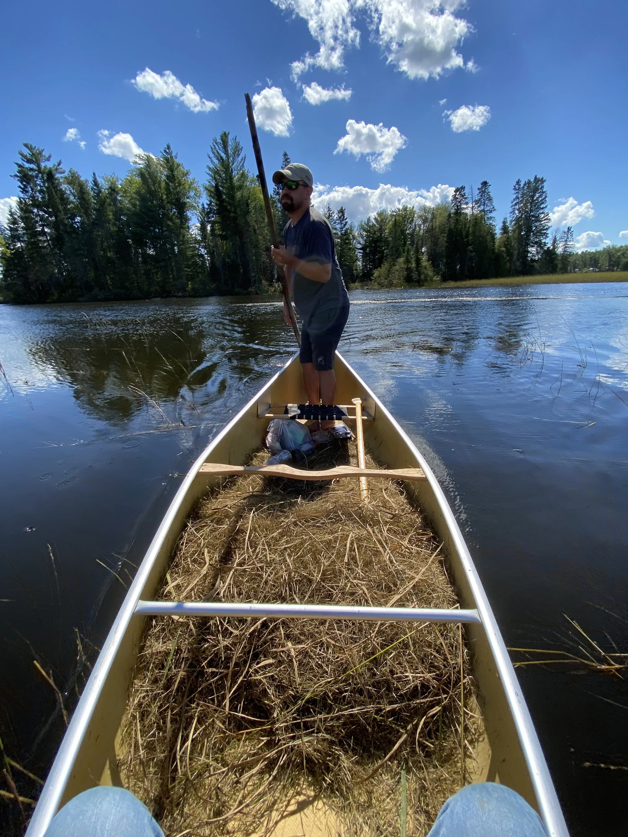 Wild Rice Restoration — Ox-Bow