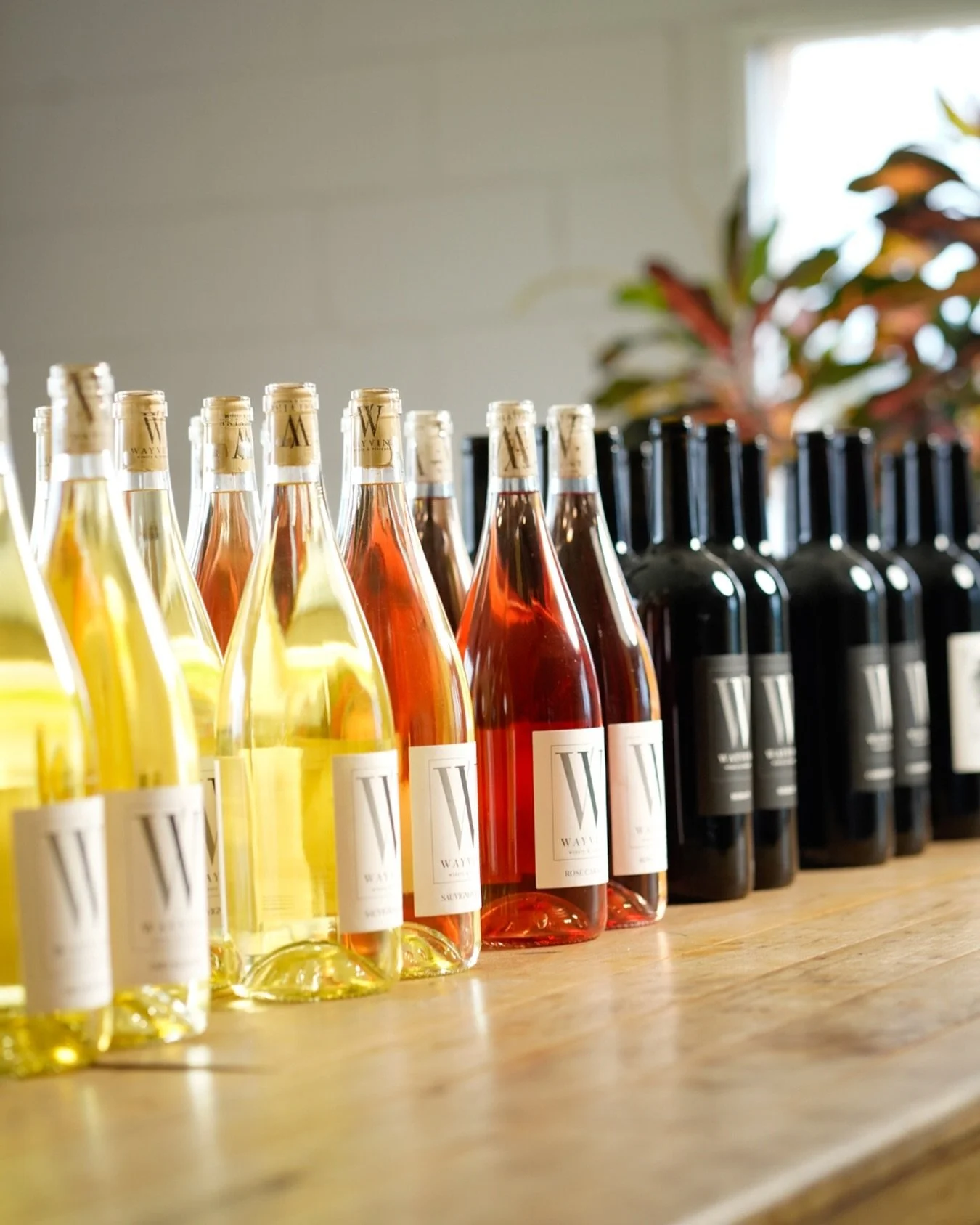 Events at Wayvine — WAYVINE