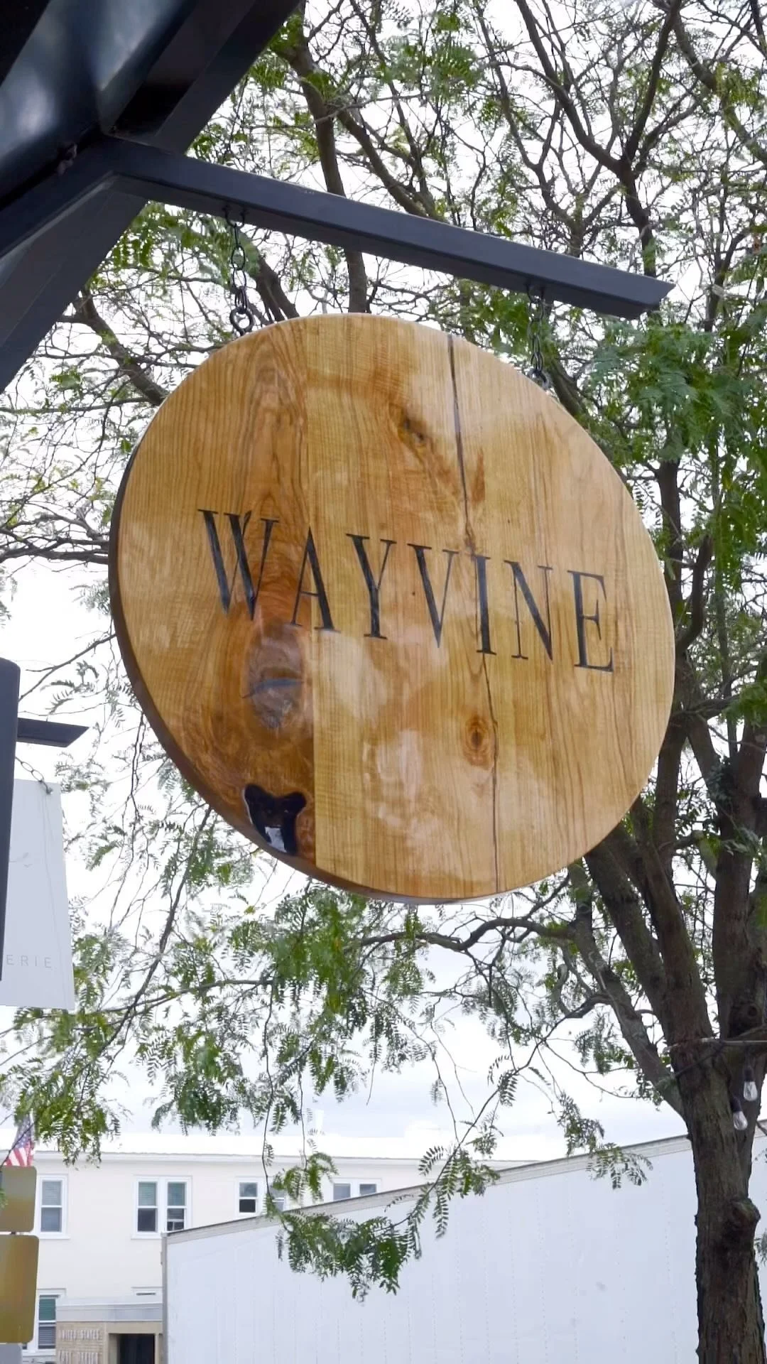 WAYVINE