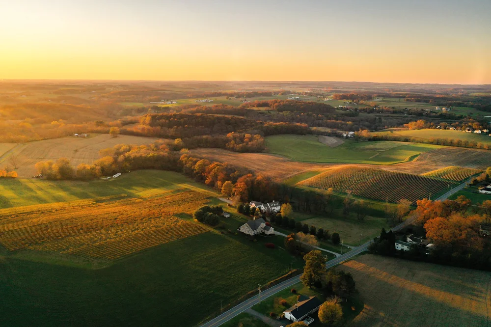 The Farm - Nottingham, PA — WAYVINE