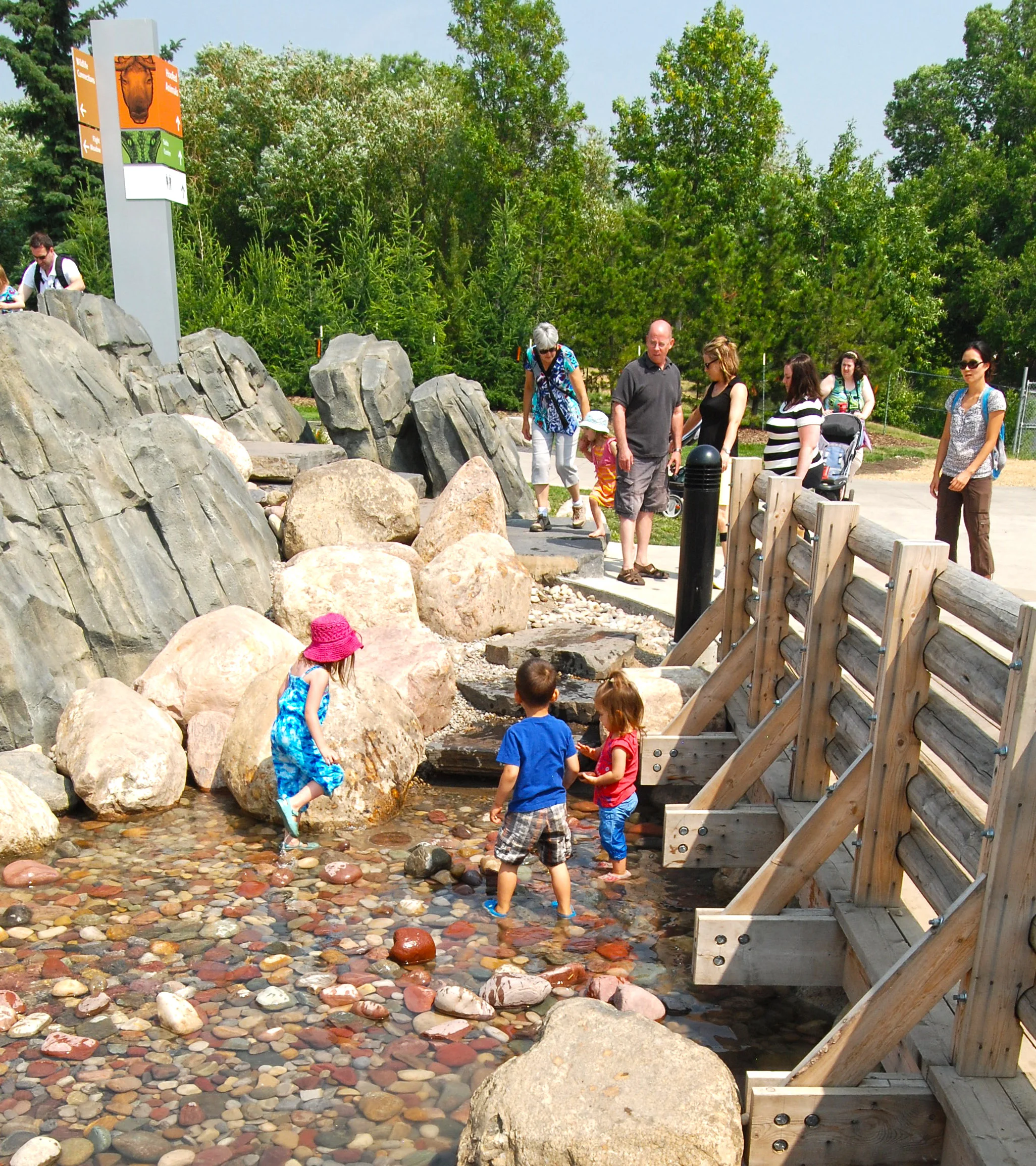 THE WANDER — SH|R Studios