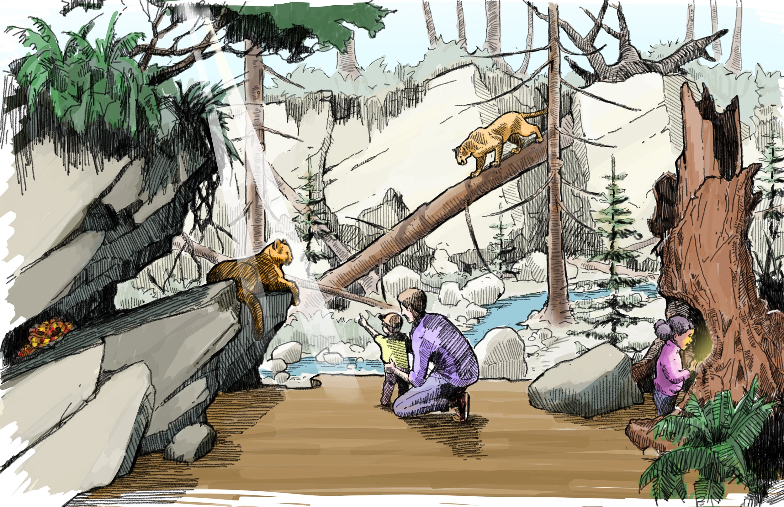 Fresno Chaffee Zoo Master Plan — SH|R Studios