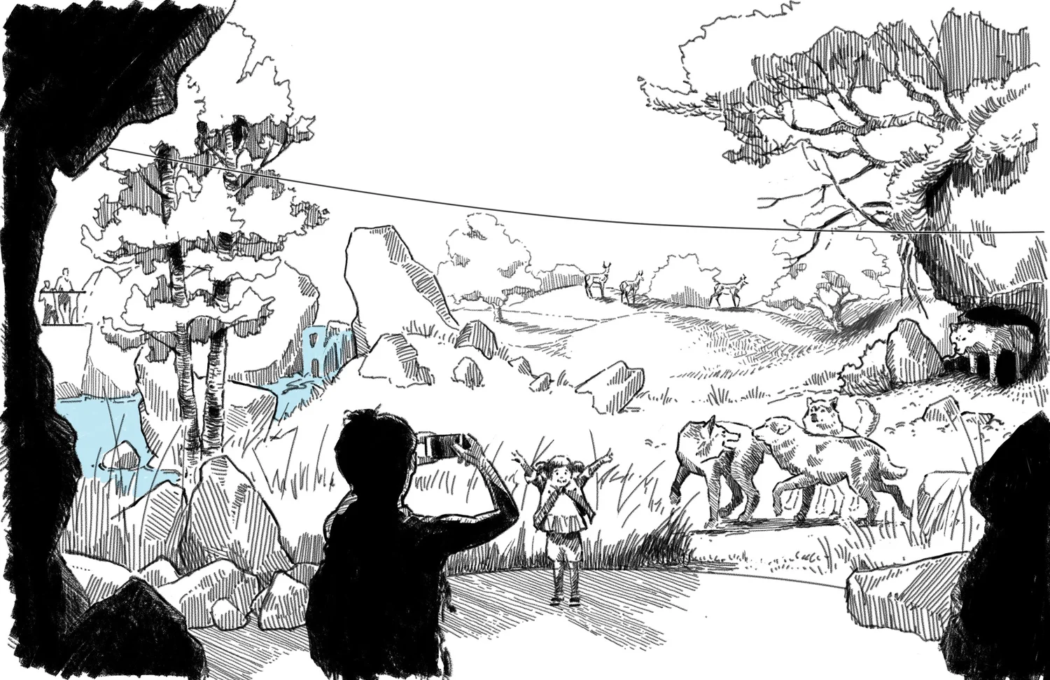 Fresno Chaffee Zoo Master Plan — SH|R Studios