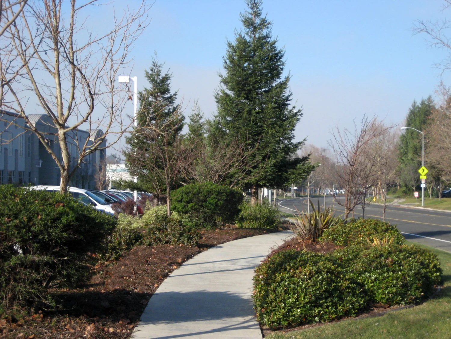 Landscape — Pavement Engineering Inc.