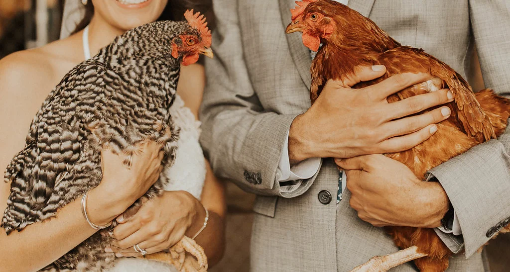 The Farmette — The Lyons Farmette & River Bend