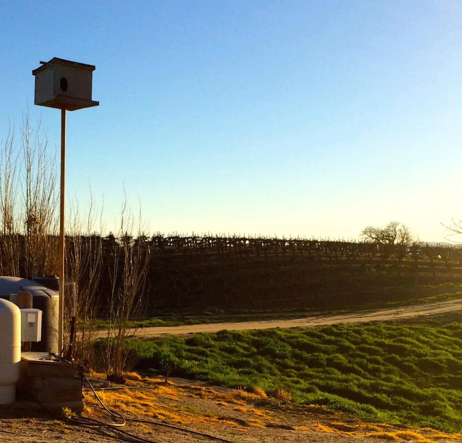 Sustainability — Four Sisters Ranch Vineyards & Winery