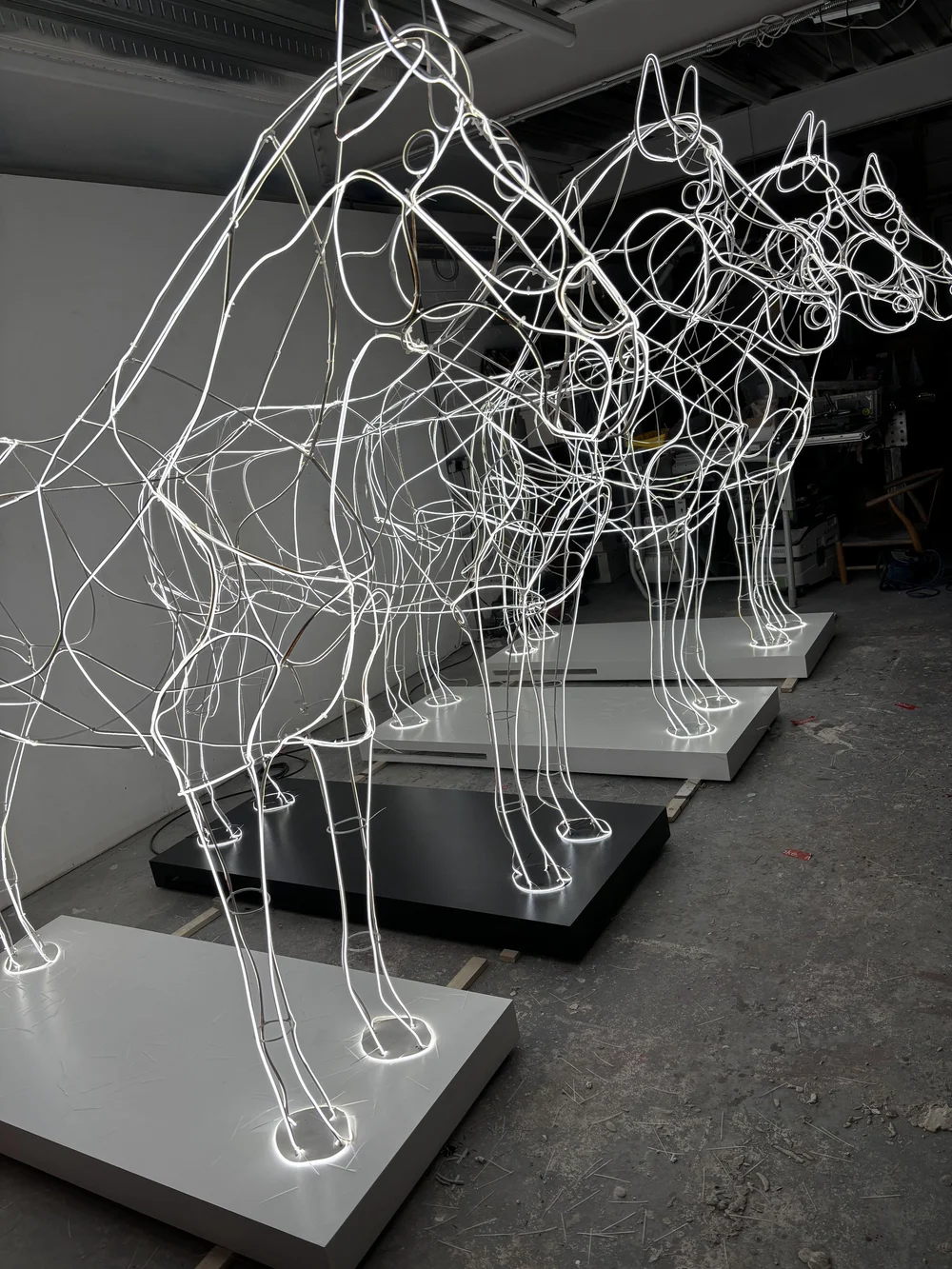 illuminated horse sculptures for COS