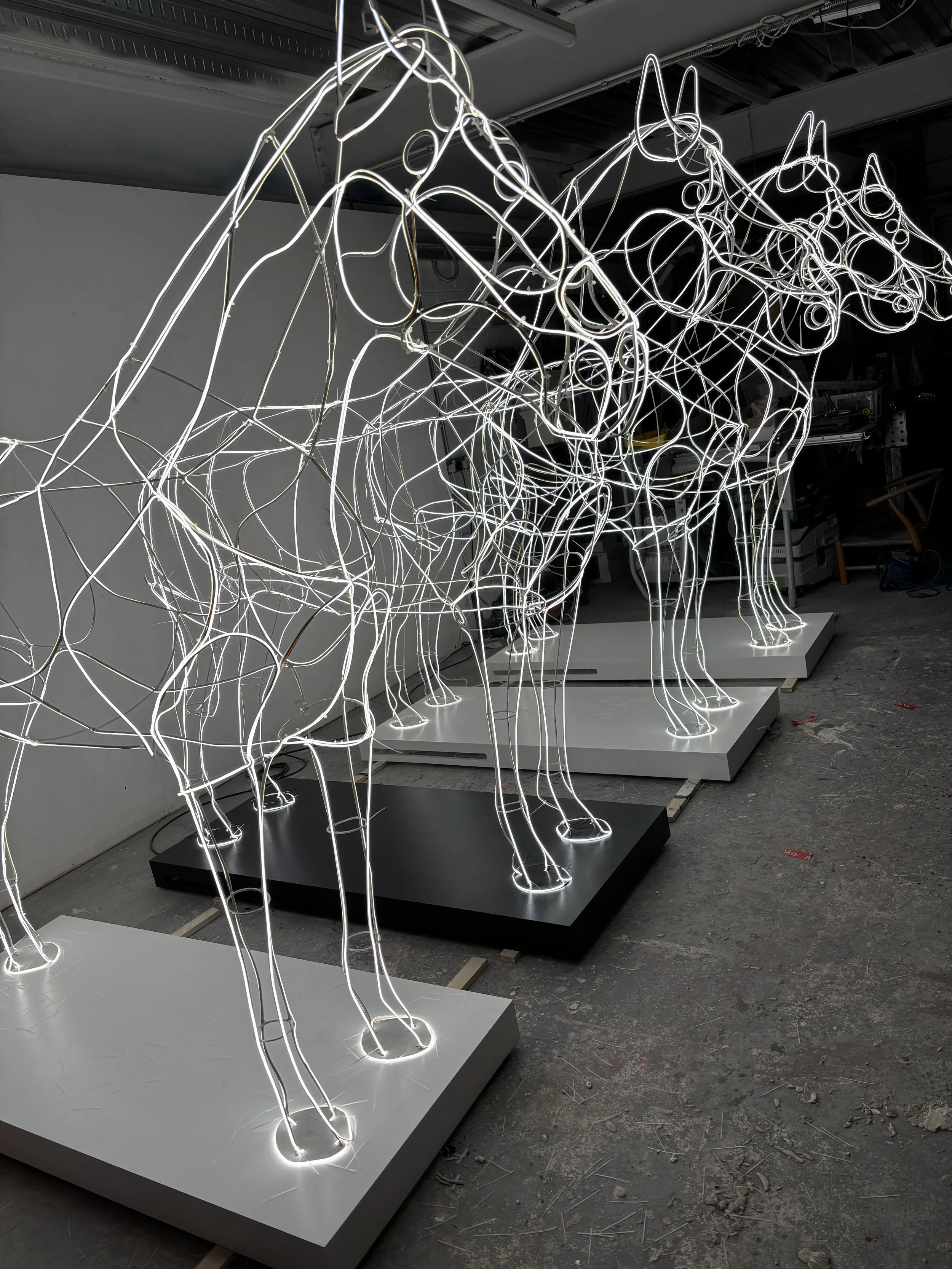 illuminated horse sculptures for COS