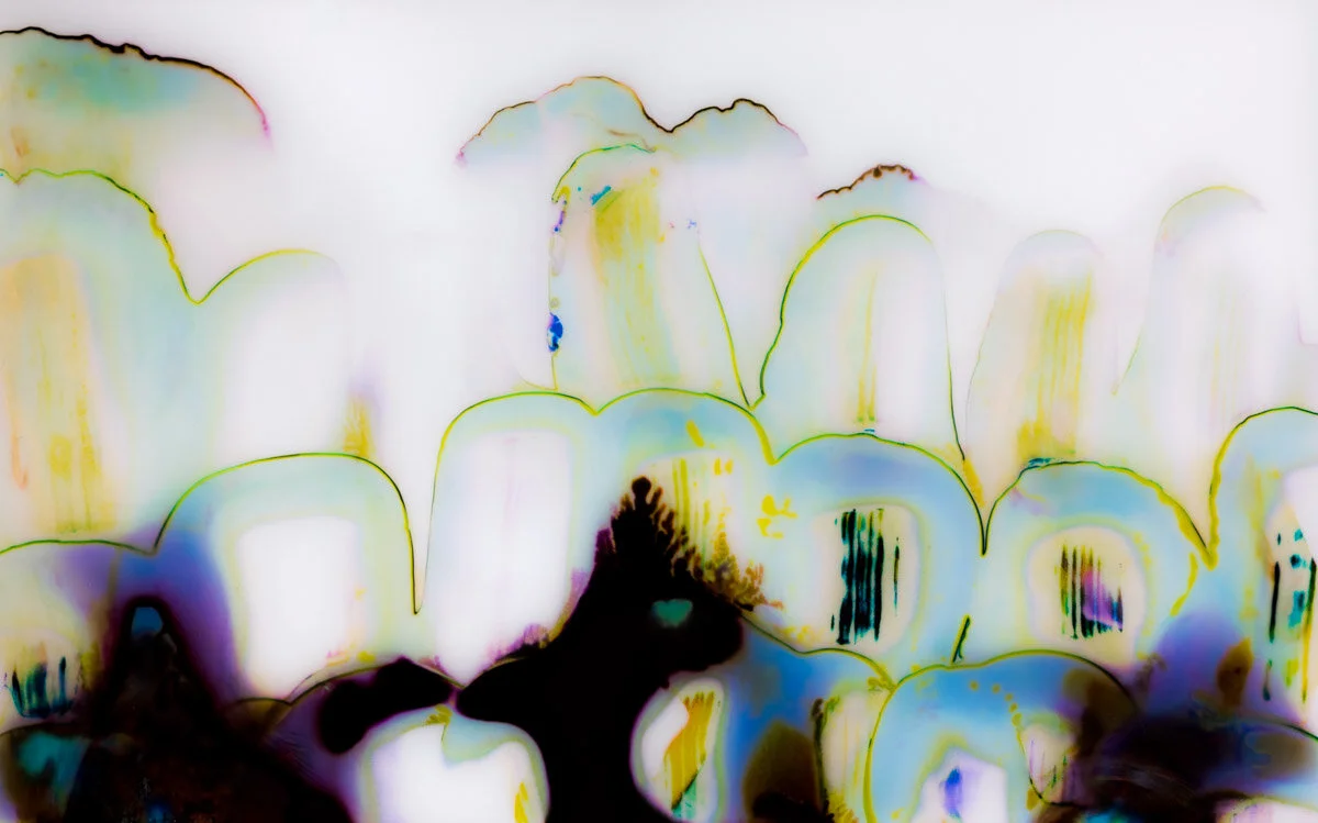 galleries | shan shui: landscapes revisited — jonas yip photography