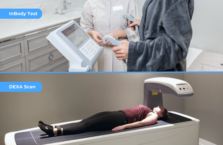 InBody Test vs DEXA Scan: Decoding Body Composition Analysis | DexaFit