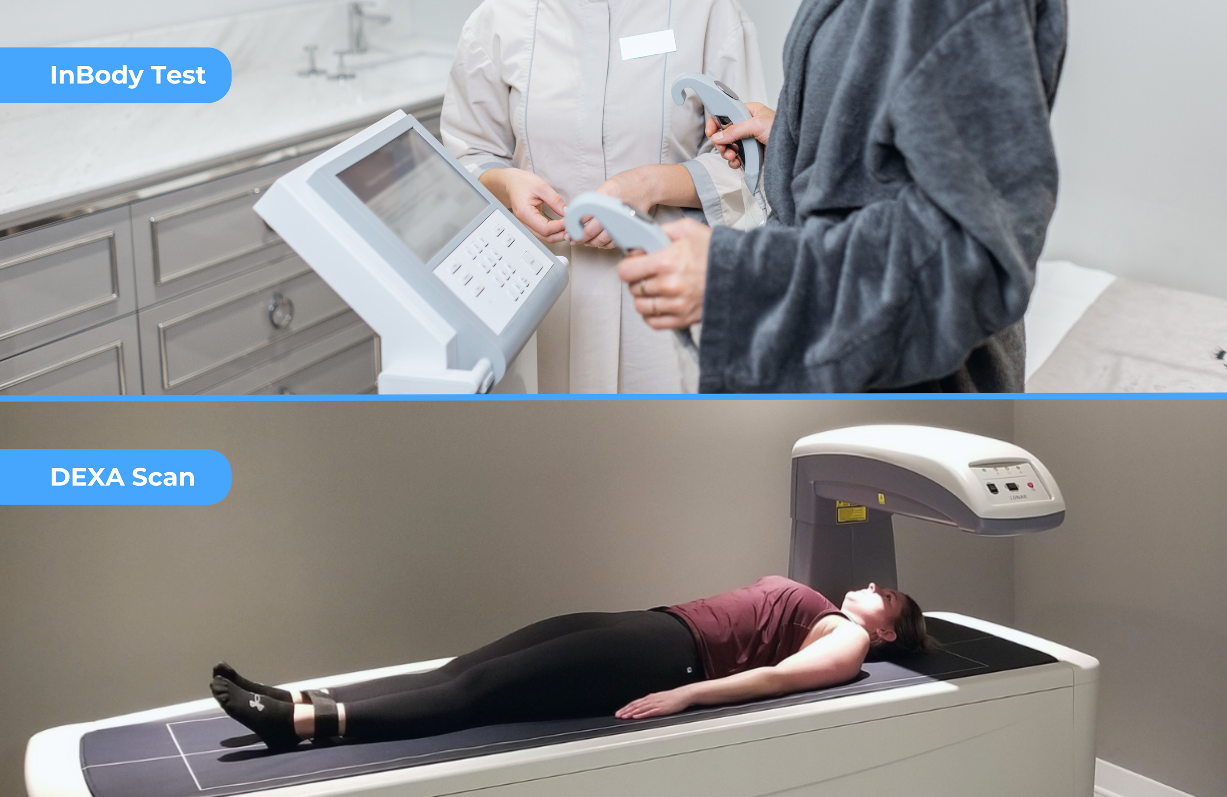 InBody Test Vs DEXA Scan Decoding Body Composition Analysis DexaFit