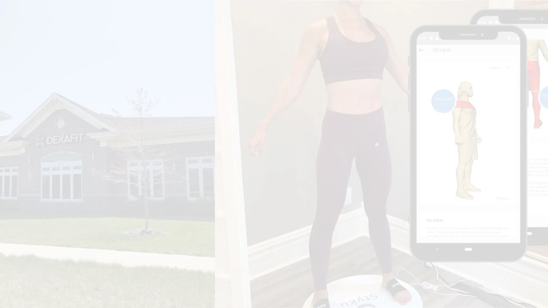 3D Body Scan