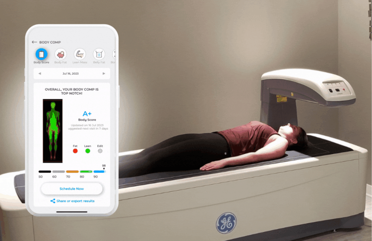 InBody Test vs DEXA Scan: Decoding Body Composition Analysis | DexaFit