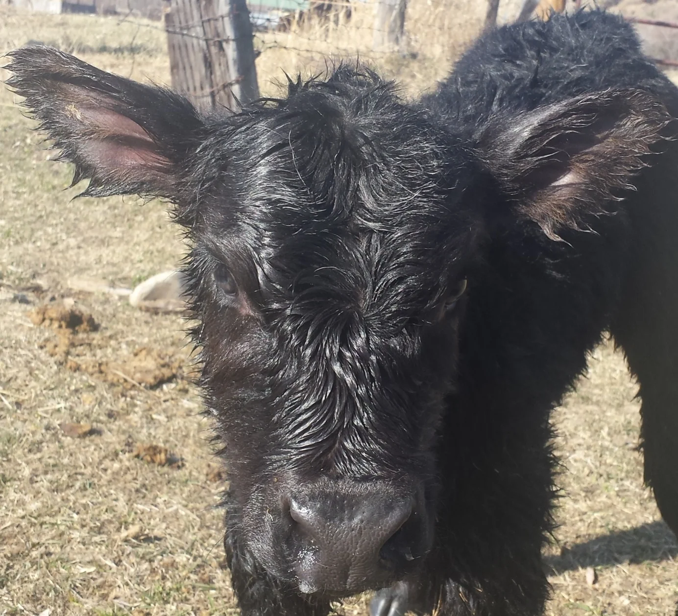 Living River Farms, LLC