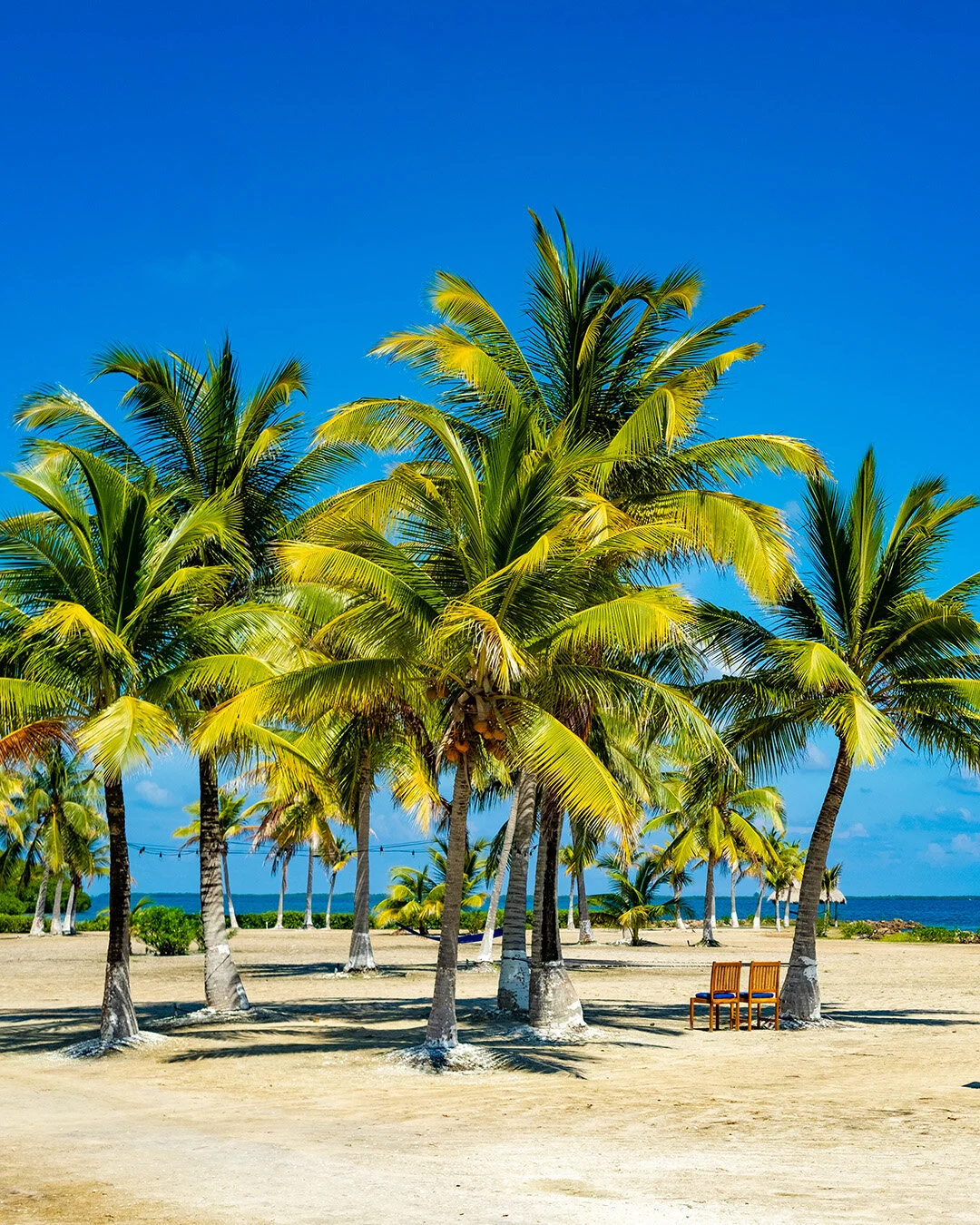 Chant | Colorado Guest Ranch Photographer — Resort Video + Photography ...