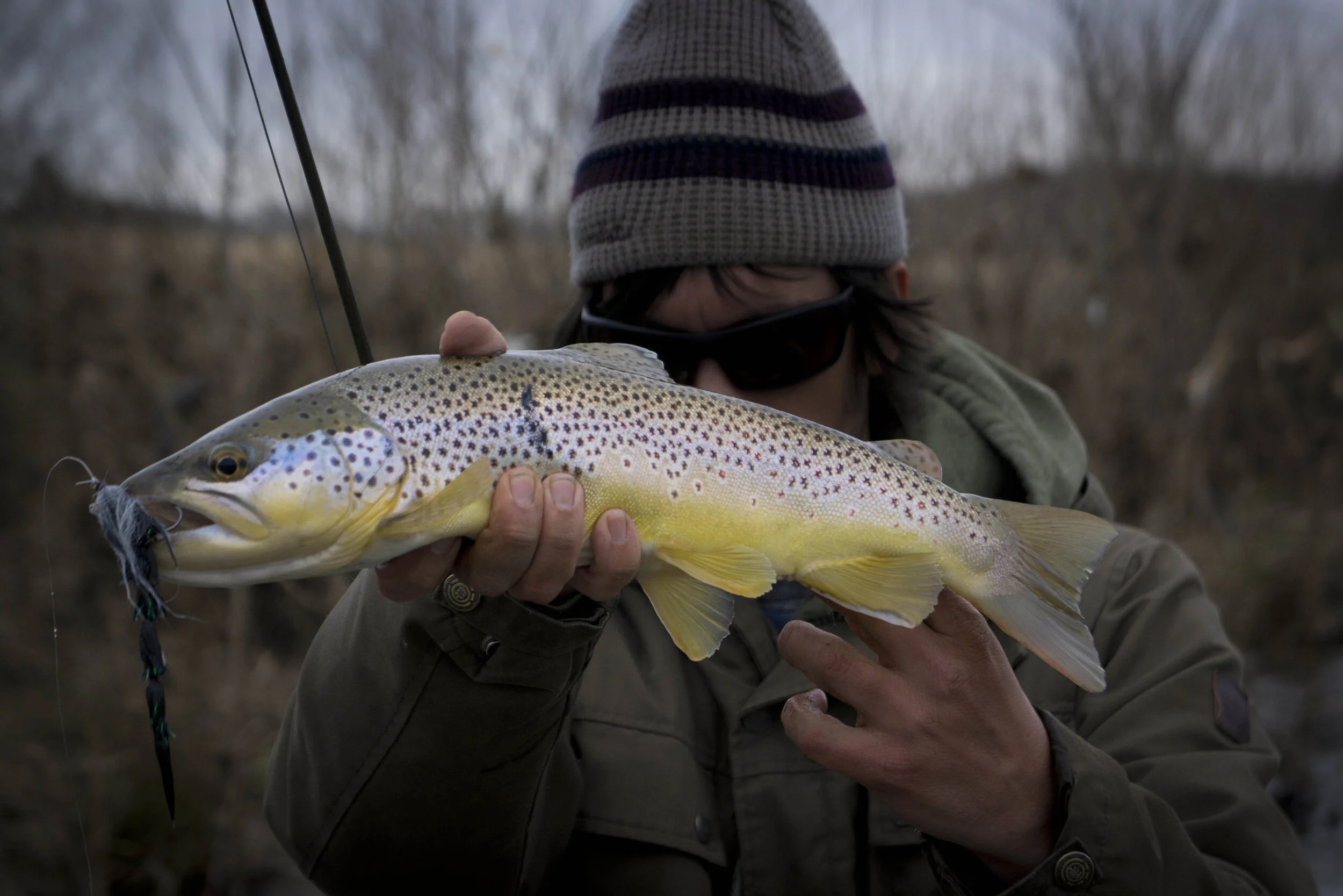 Fly Tying: Brown Trout Streamer Pattern | Watauga River and South ...