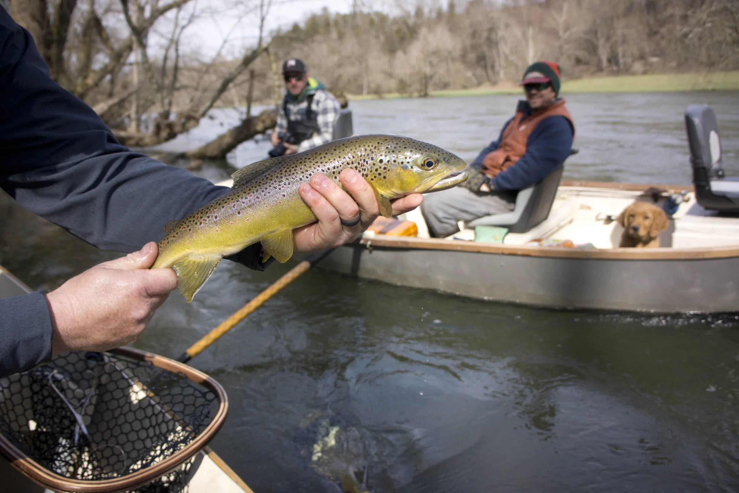 Fly Tying: Brown Trout Streamer Pattern | Watauga River and South ...
