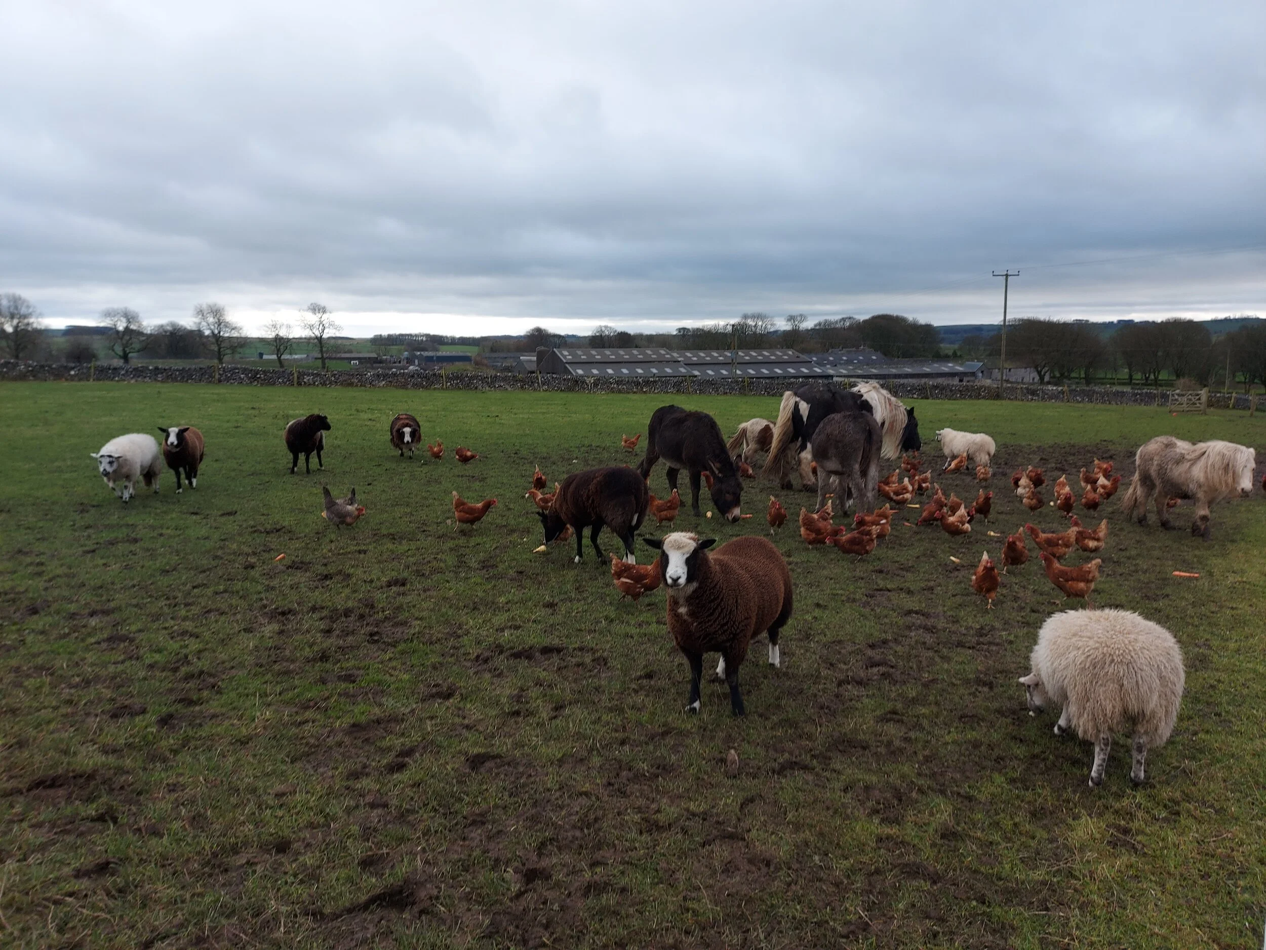 CONTACT — Lane End Farm Trust