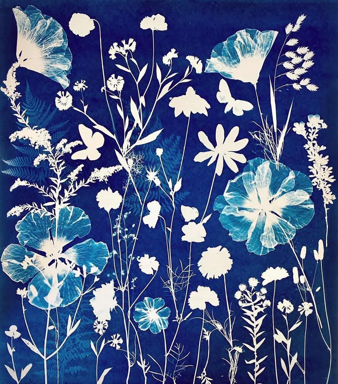 Intro to Cyanotype Workshop with Andrew Heath (one-day) - 7/19 ...