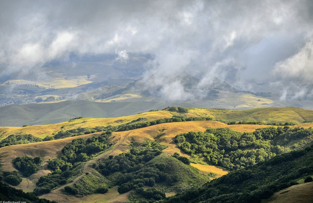 The Central Coast, En Plein Air - May 6-9, 2025 — Image Quest Photography