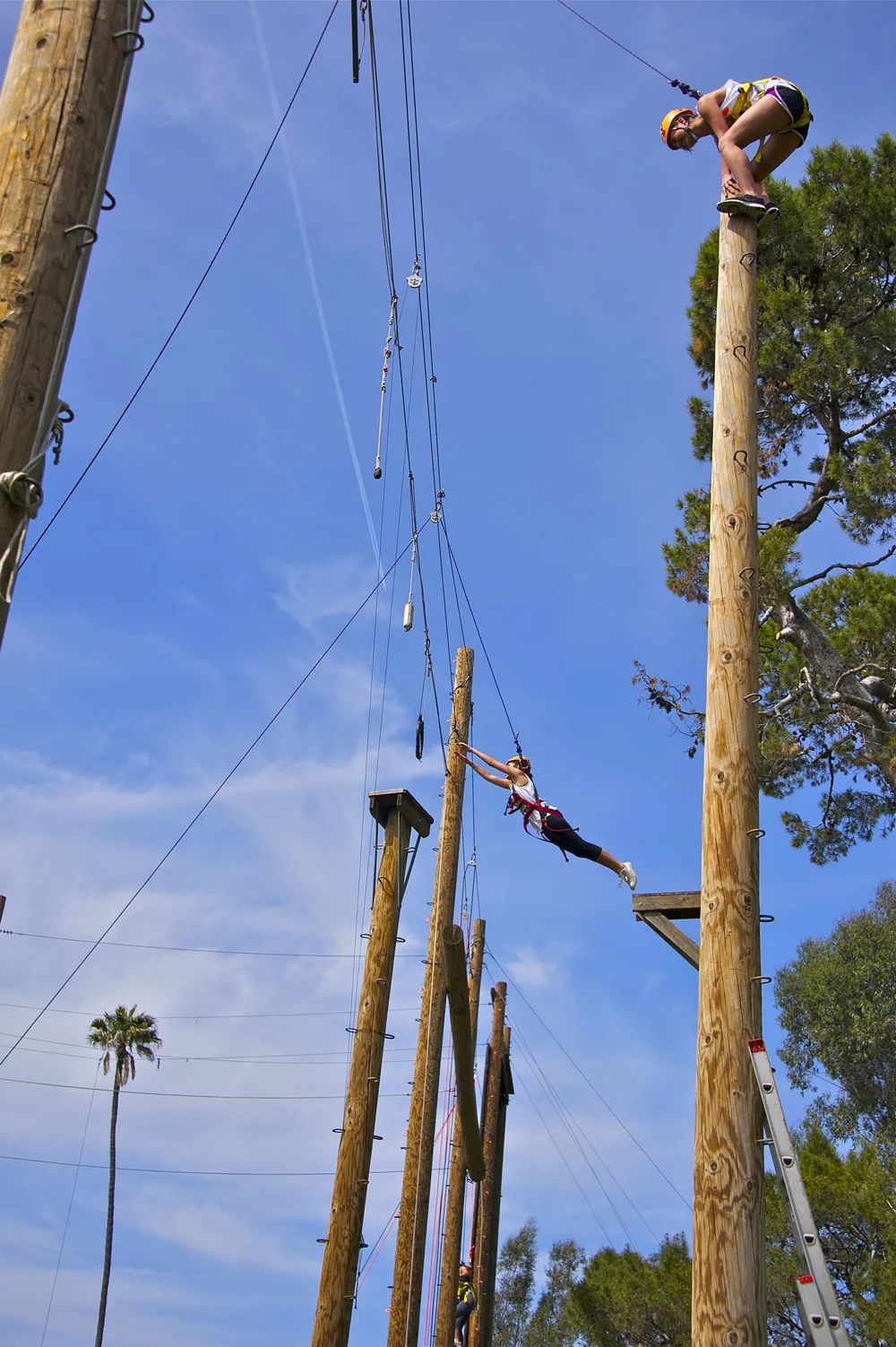 High Ropes Course Leap Of Faith