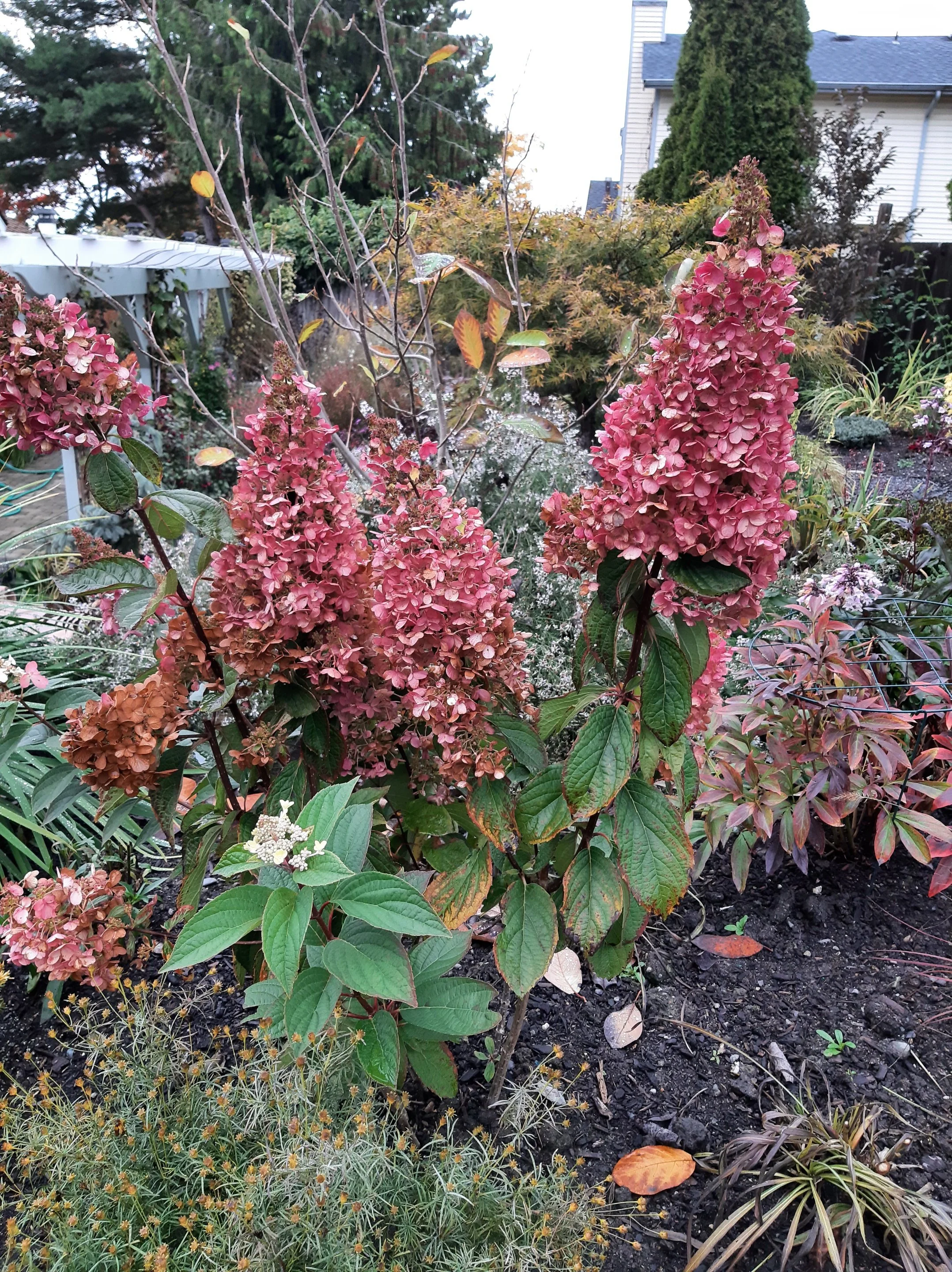 Here's How To Up Your Fall Gardening Game — Sunnyside Nursery