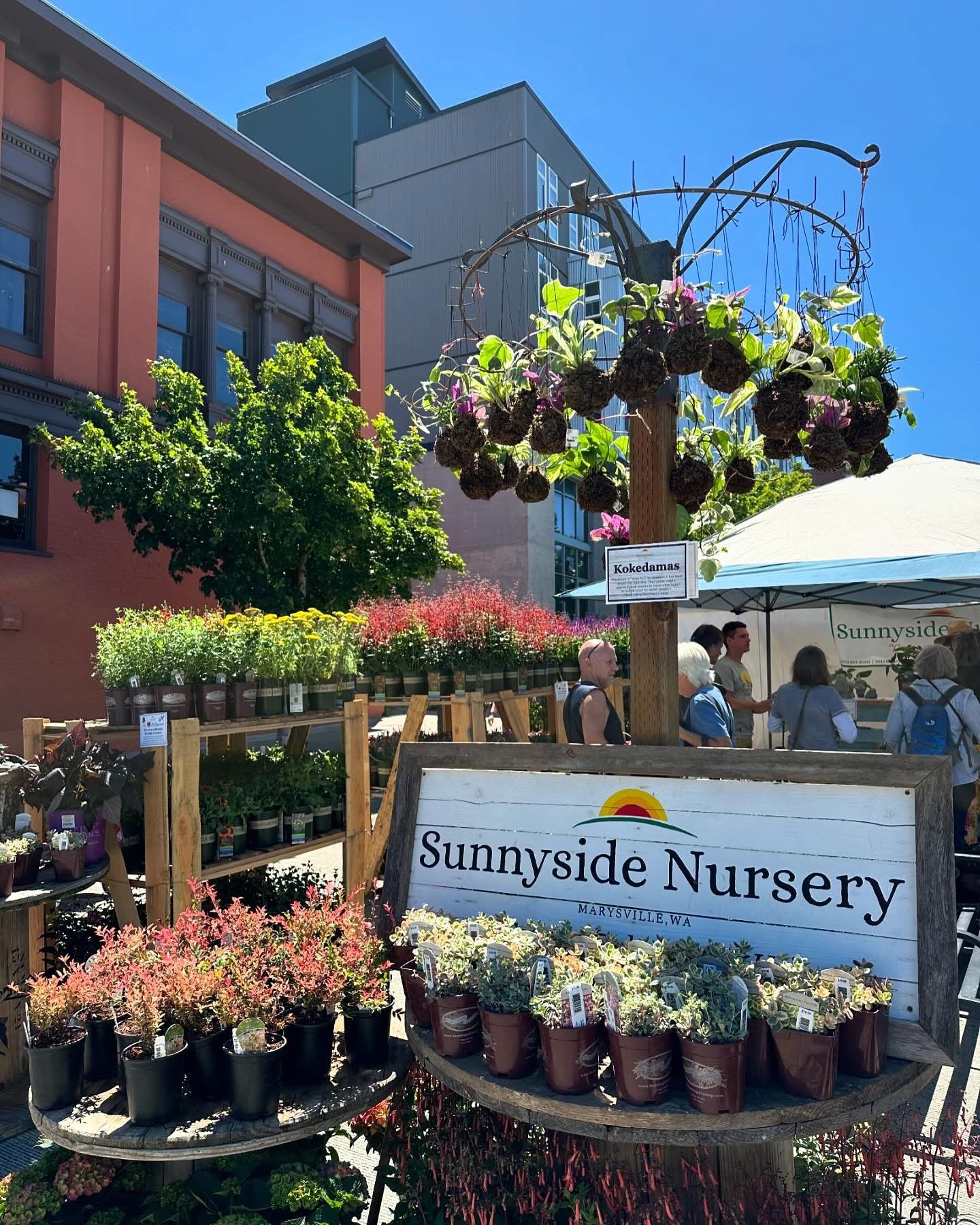 Sorticulture — Sunnyside Nursery