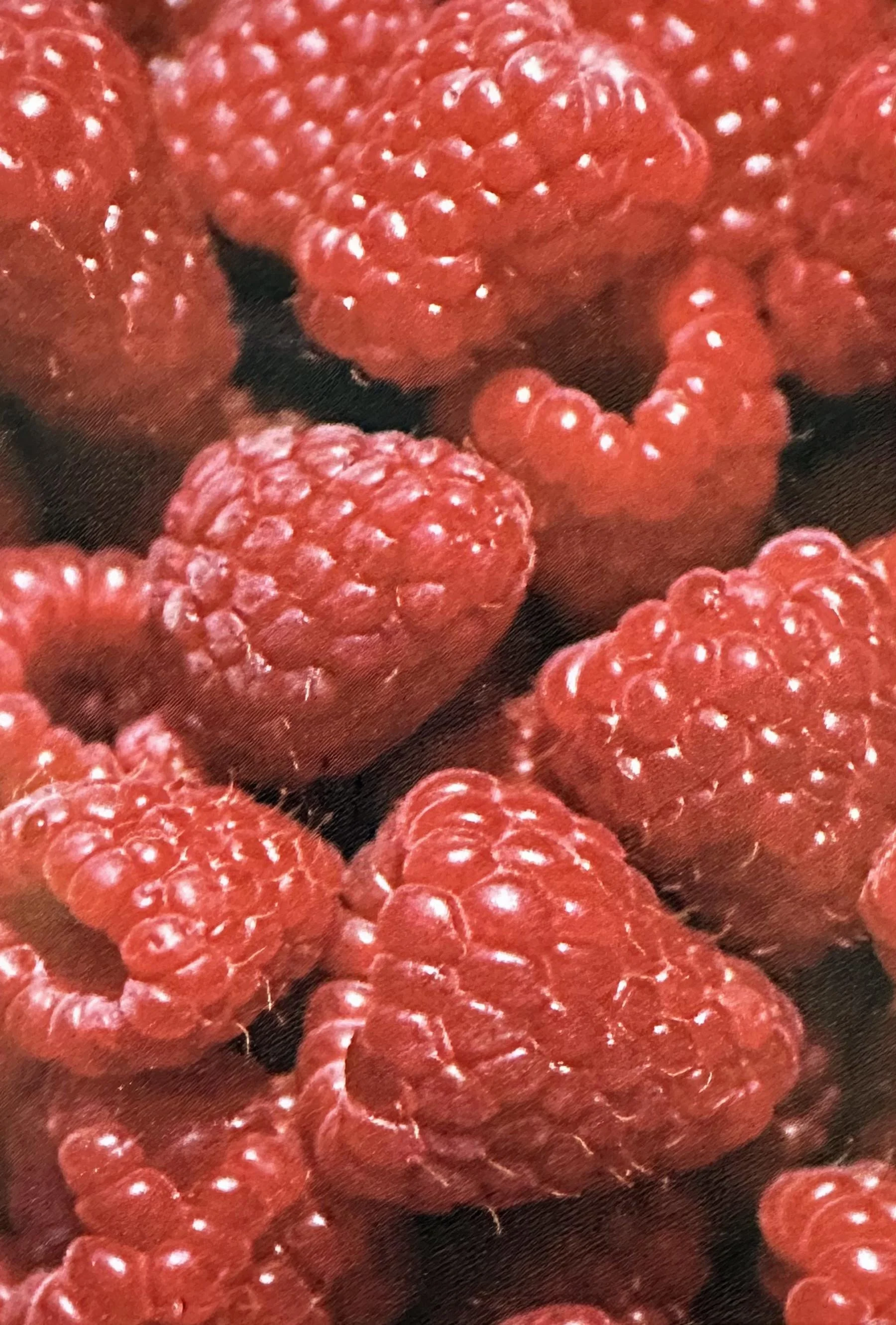 Raspberries — Sunnyside Nursery