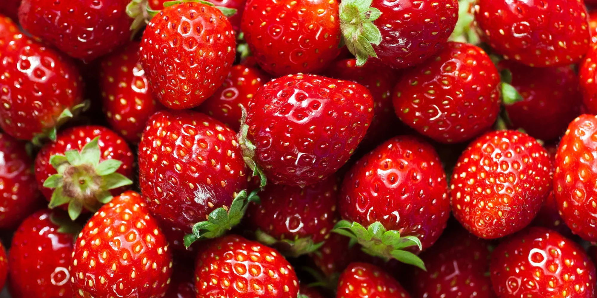 Small Fruits & Berries — Sunnyside Nursery
