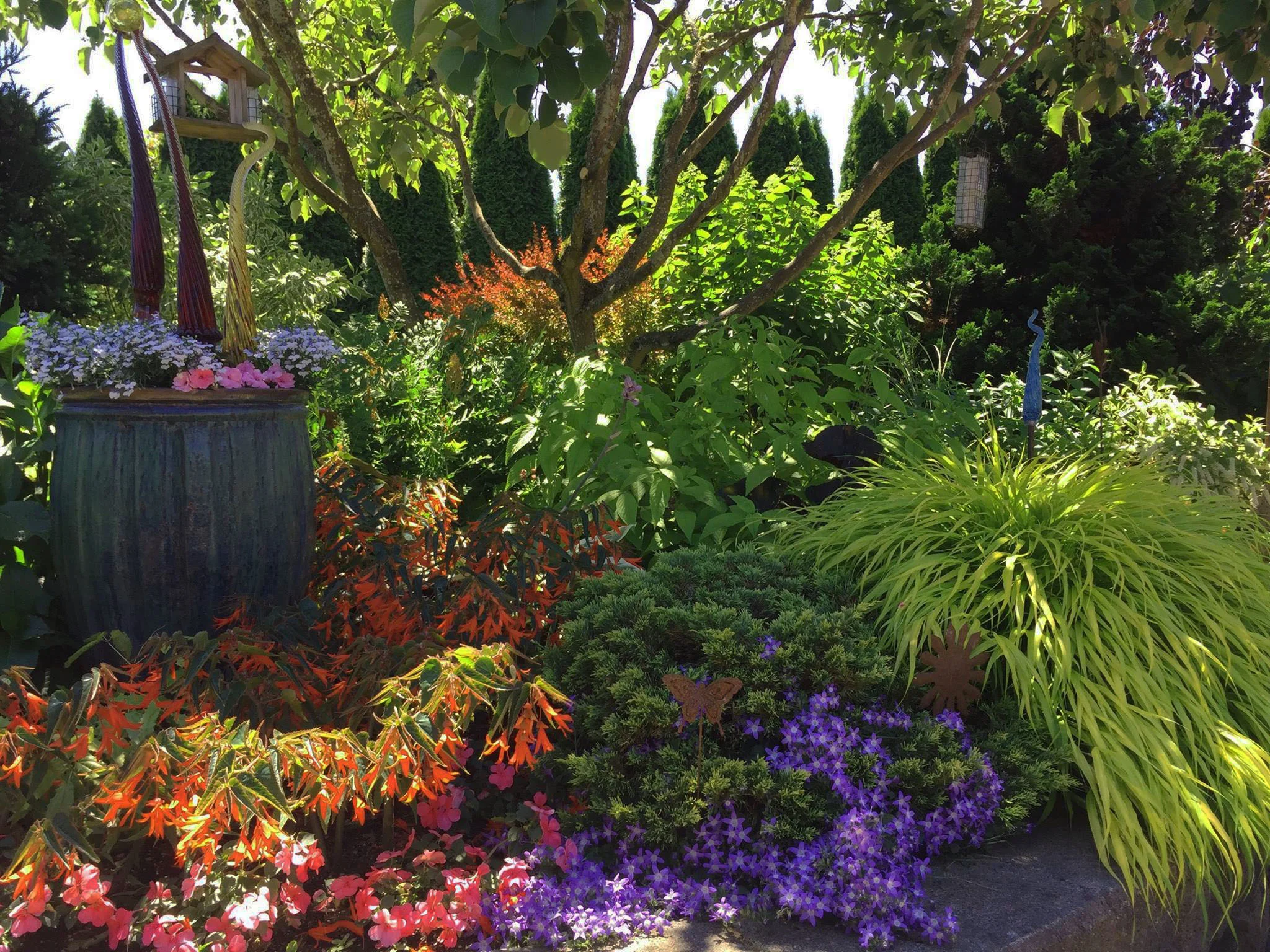 Make The Most Of That Shady Area — Sunnyside Nursery