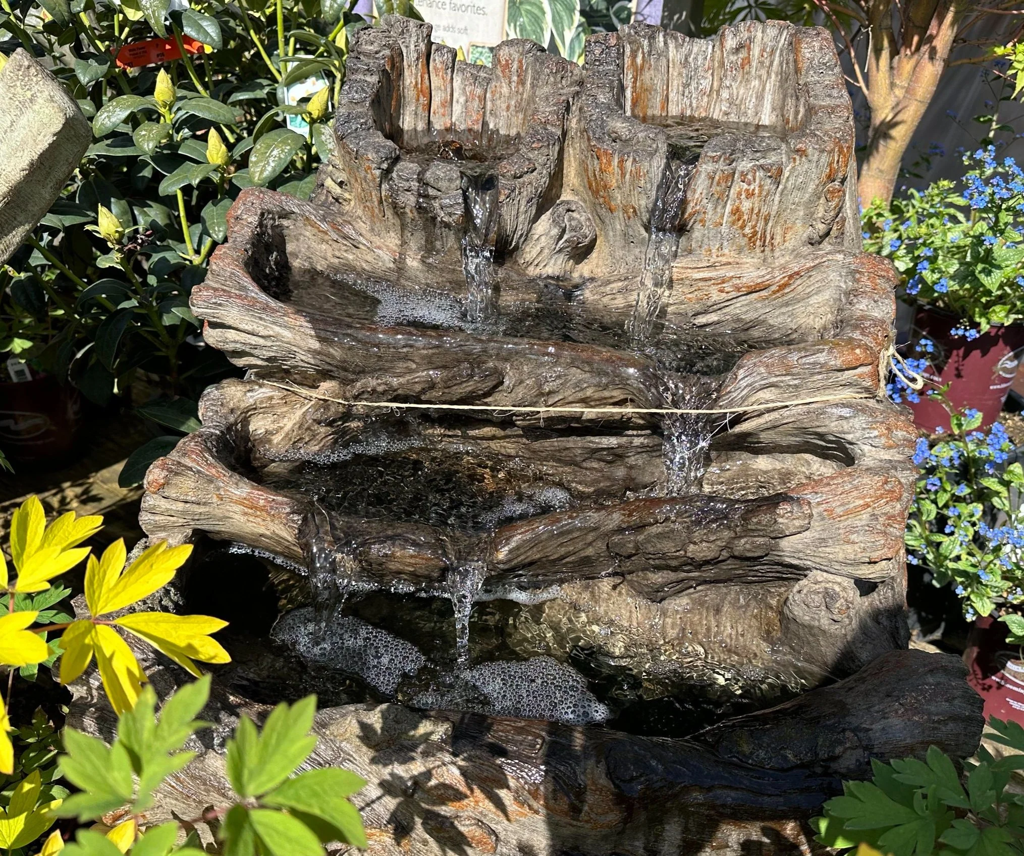 Fountains — Sunnyside Nursery