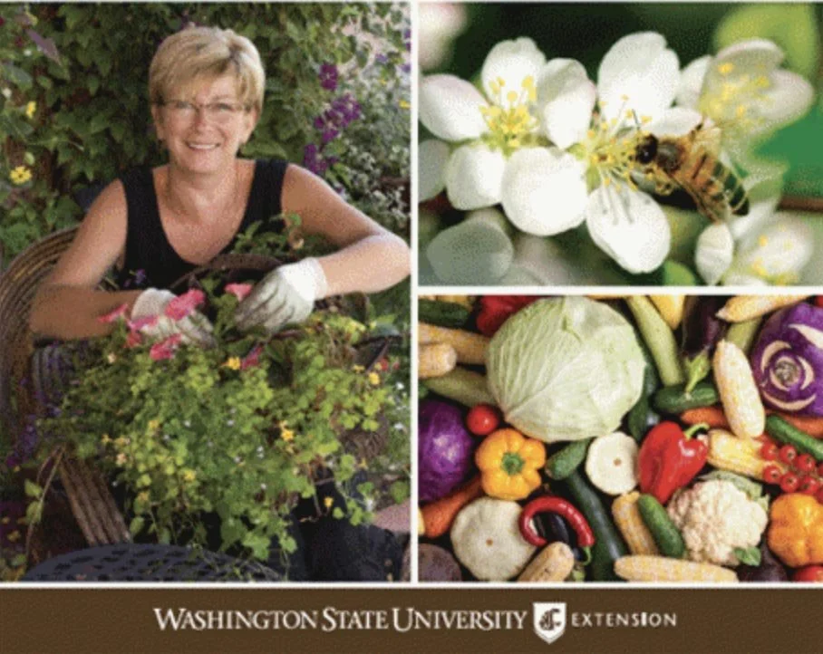 Gardening Classes Are Back In-House — Sunnyside Nursery