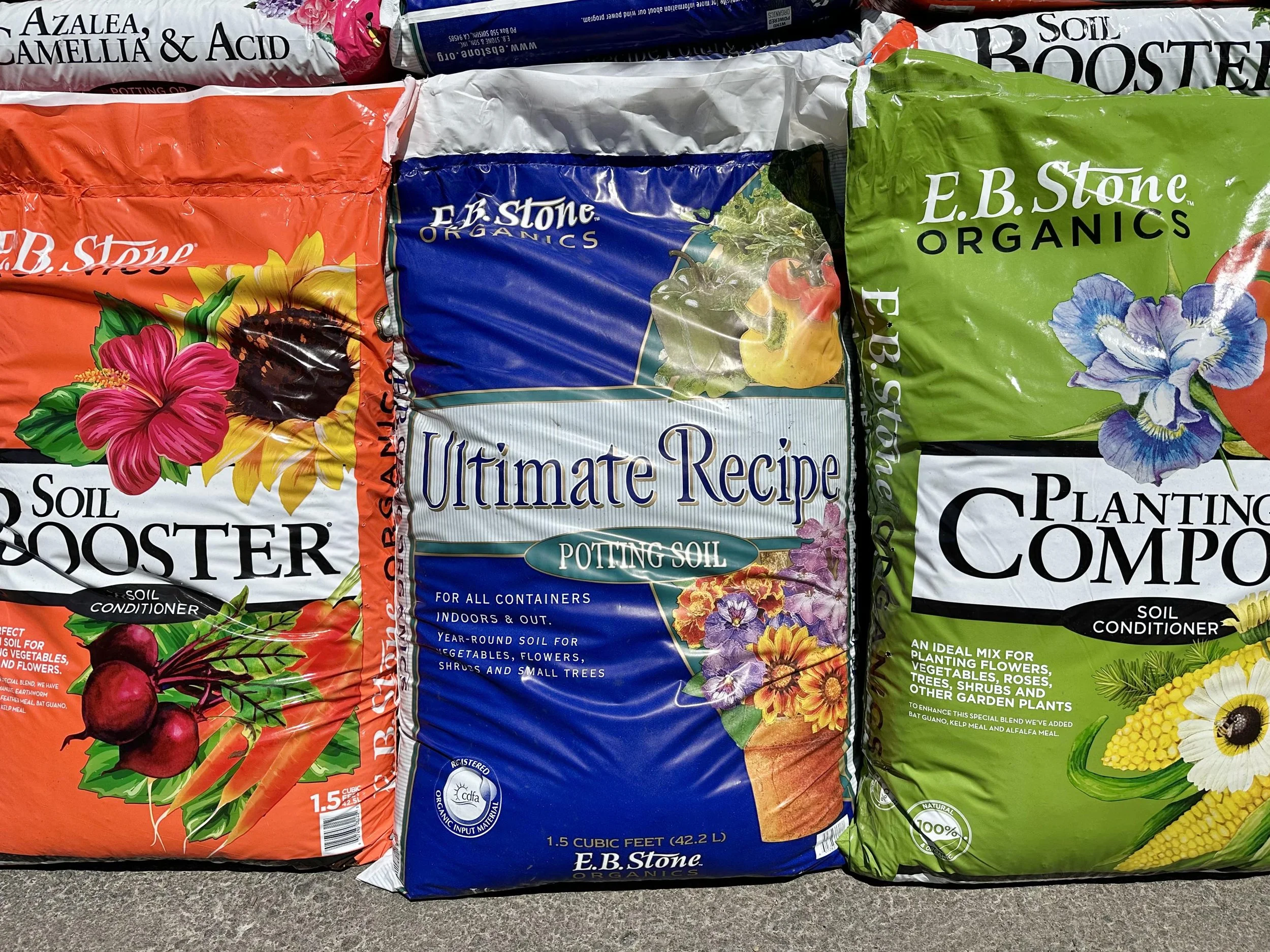 Here's How To Have The Best-Looking Containers — Sunnyside Nursery