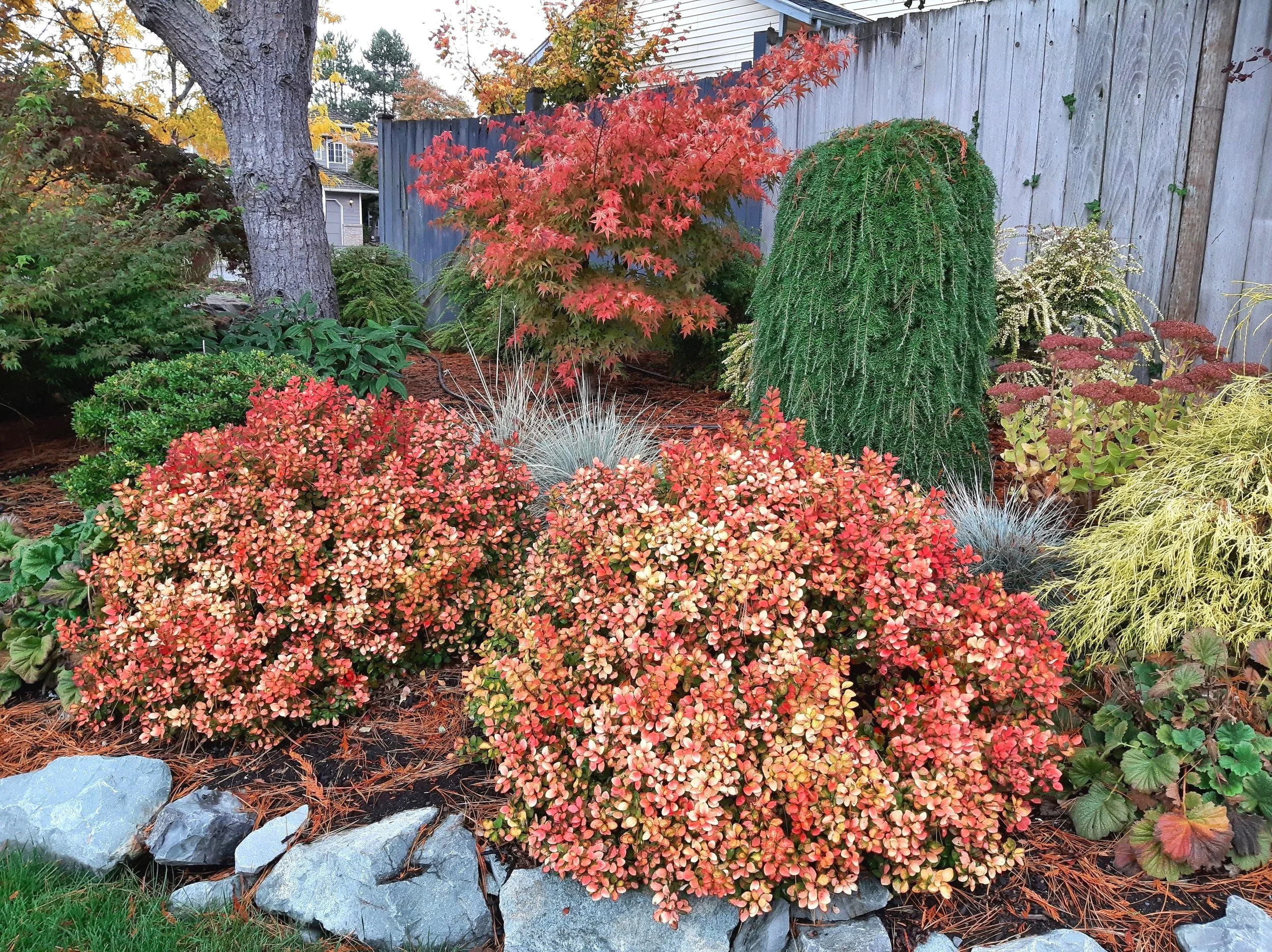 Here's How To Up Your Fall Gardening Game — Sunnyside Nursery