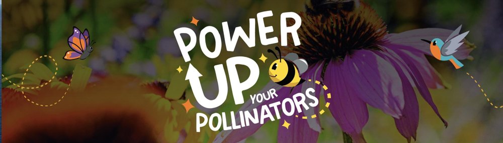 Pollinator Friendly Perennials — Sunnyside Nursery