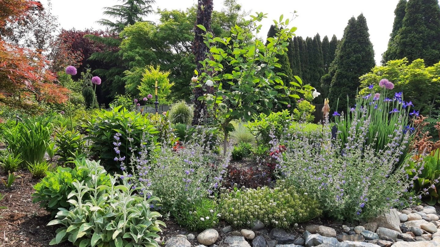 The Changing Garden, What A Difference A Couple Of Weeks Can Make ...