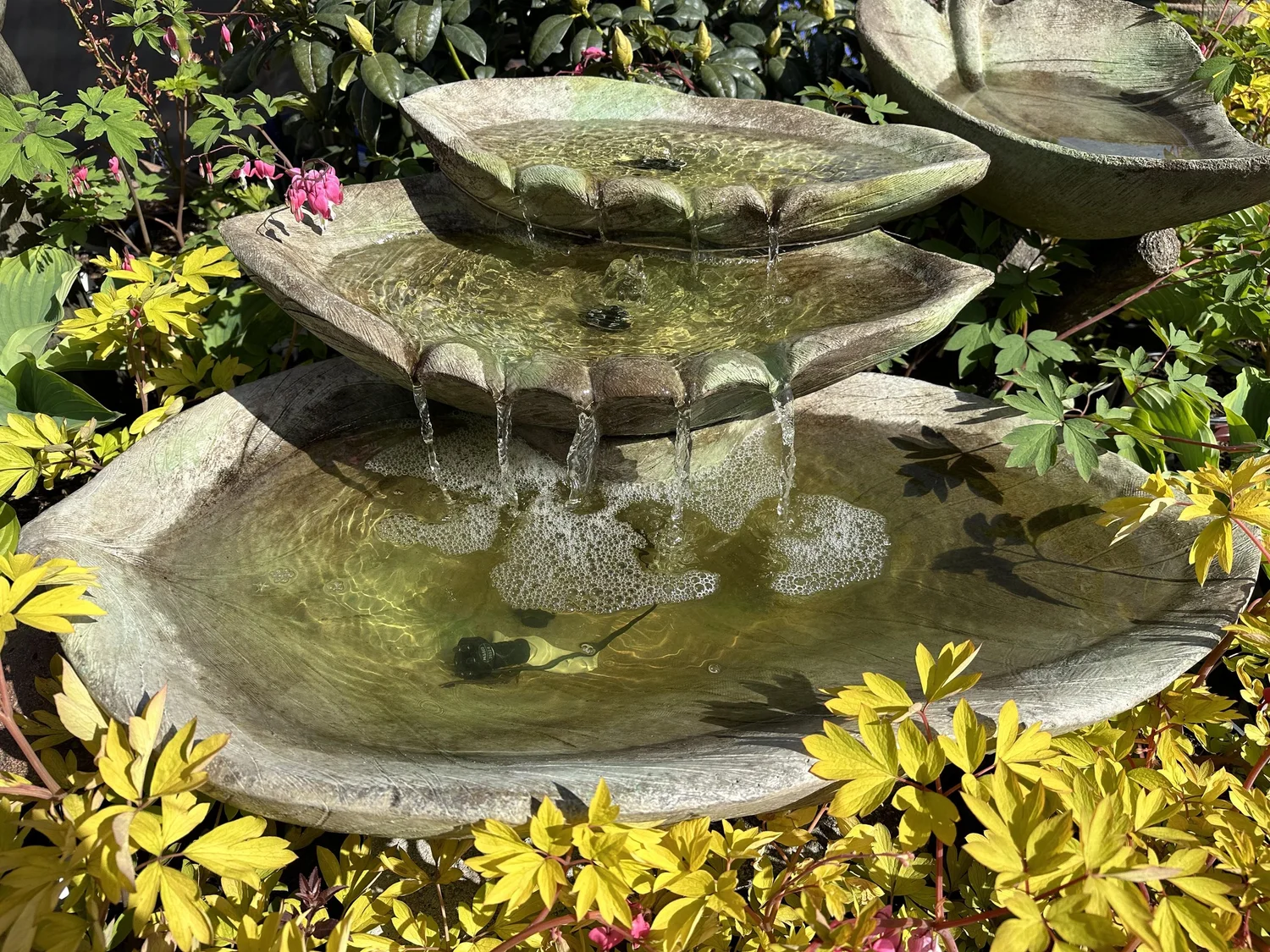 Fountains — Sunnyside Nursery