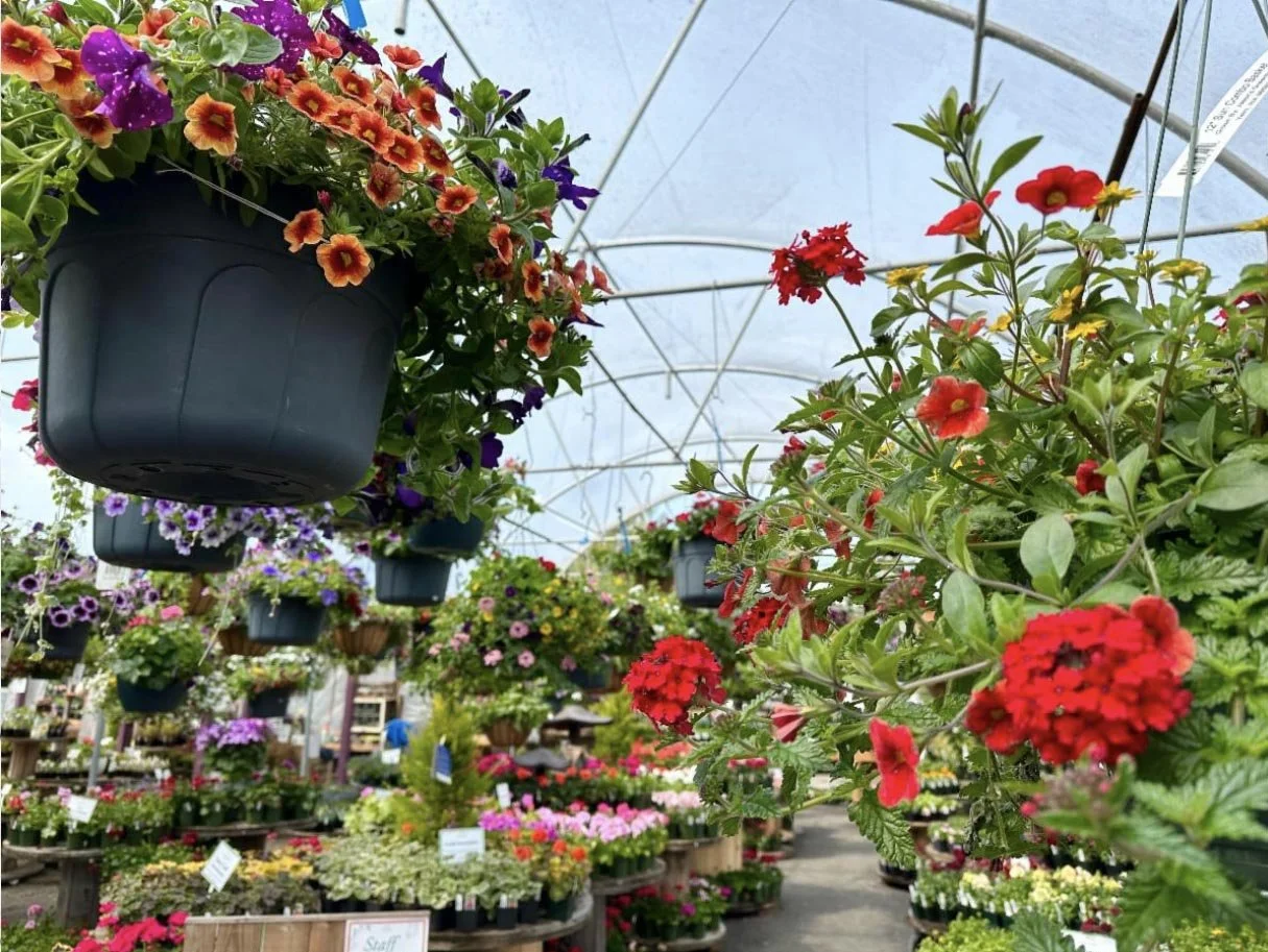 Sales — Sunnyside Nursery