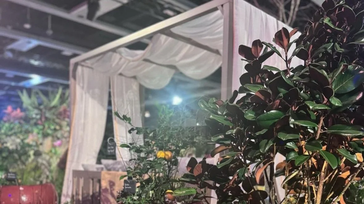 Magnificent Magnolias — Sunnyside Nursery