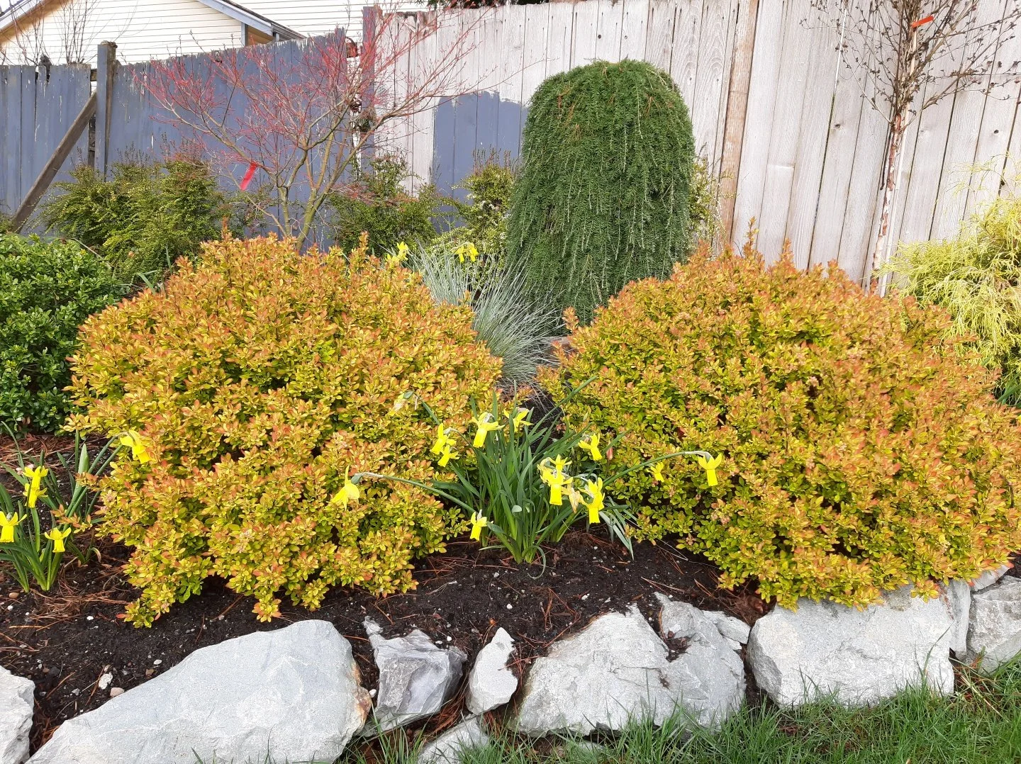 Take Time To Enjoy The Season — Sunnyside Nursery