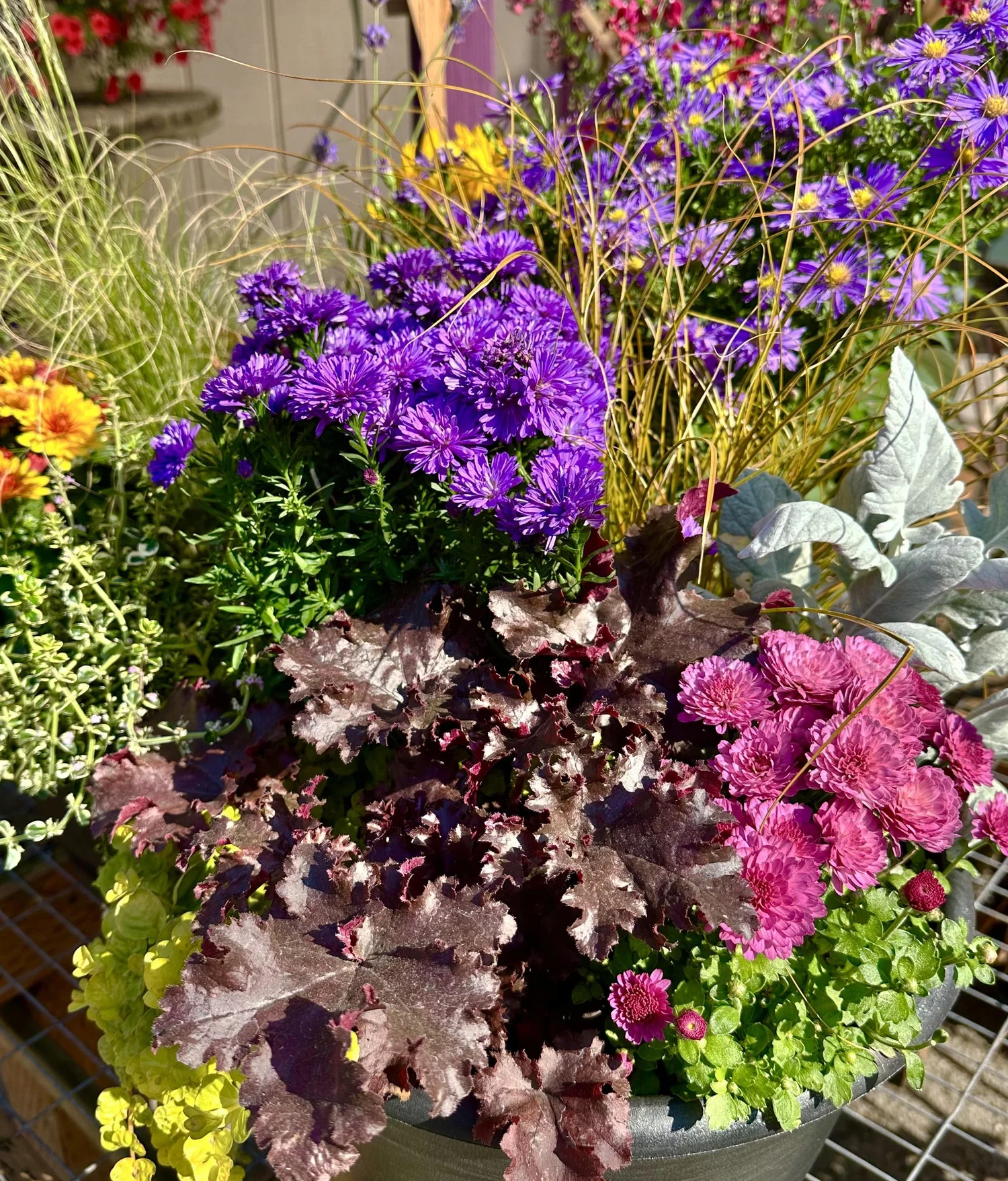 Planting Containers In The 'Shoulder Season' — Sunnyside Nursery