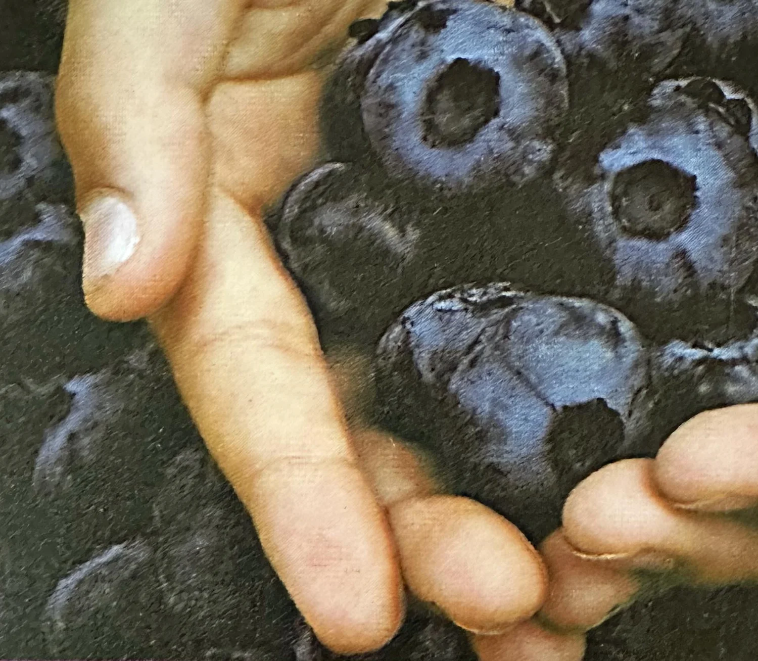 Blueberries — Sunnyside Nursery