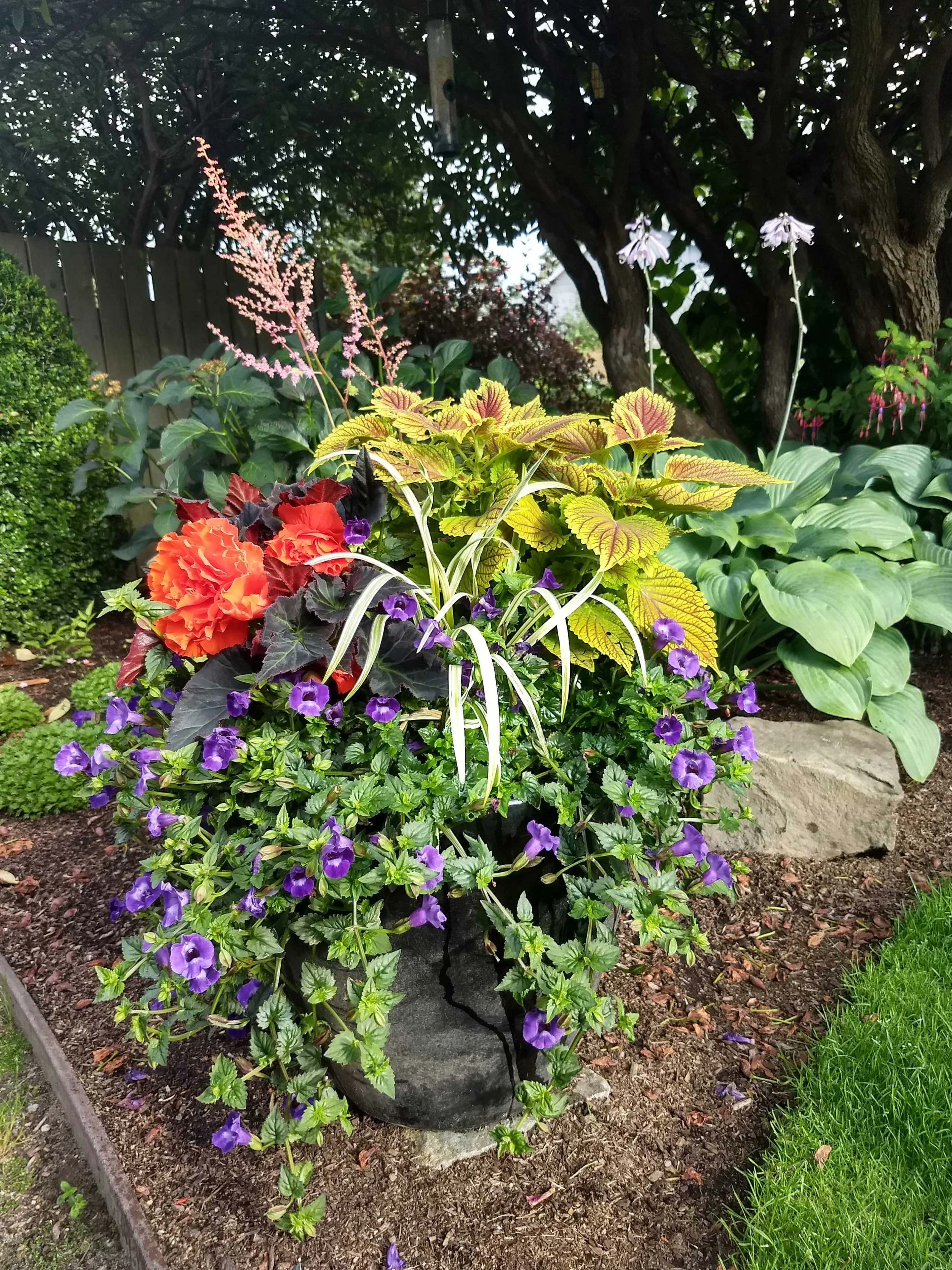 Spring Into Container Gardens — Sunnyside Nursery