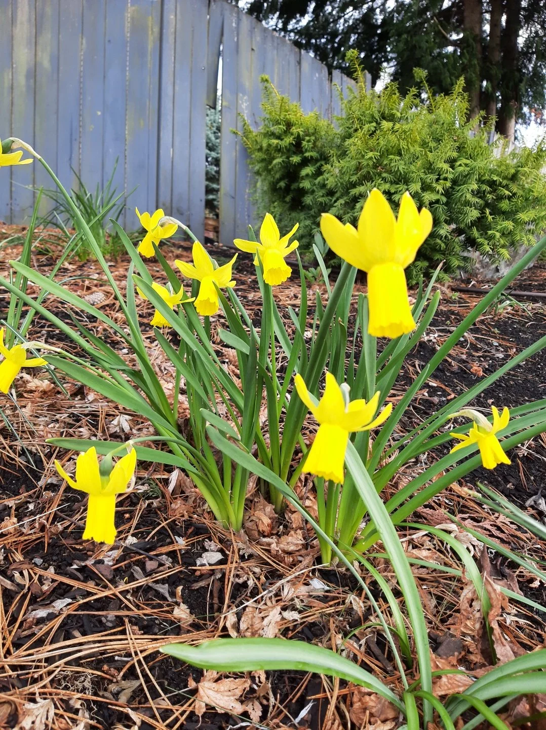 Take Time To Enjoy The Season — Sunnyside Nursery