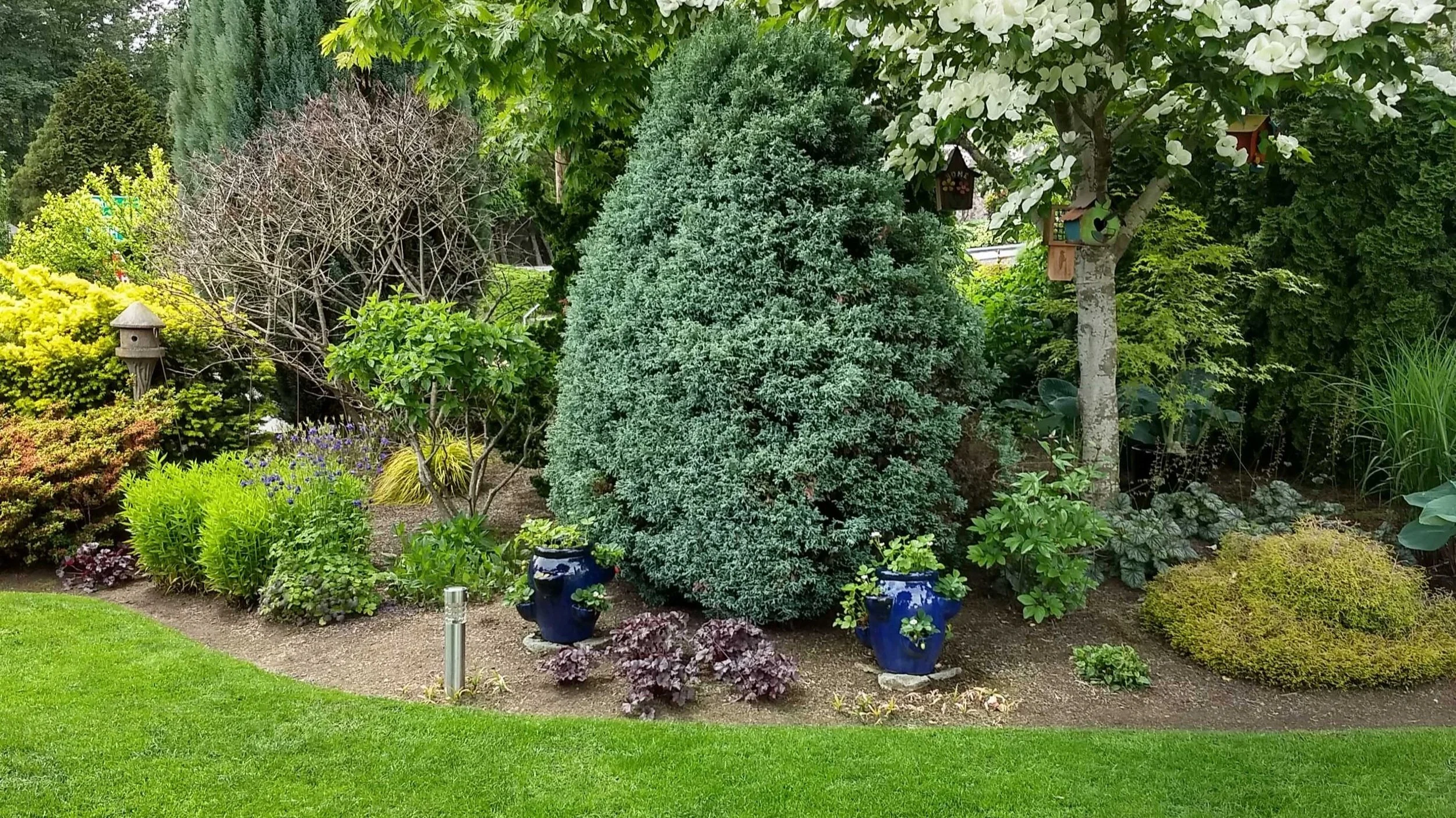 It's Lawn Restoration Month — Sunnyside Nursery