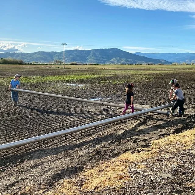 California Heritage Farms